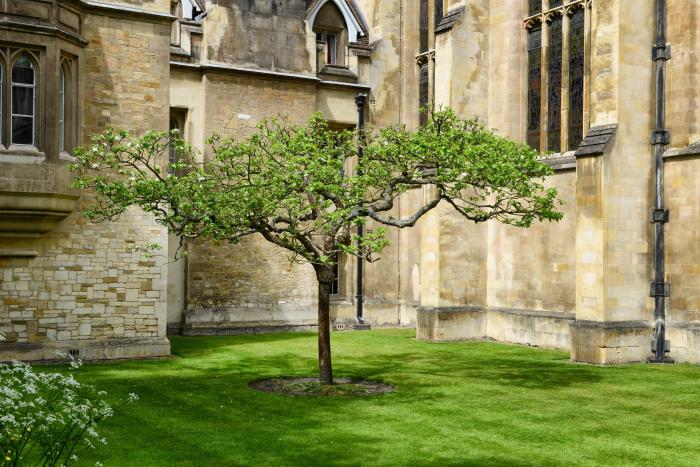 Cambridge Colleges Map | Cambridge Alumni Tours Cambridge Colleges Map | Cambridge Alumni Tours